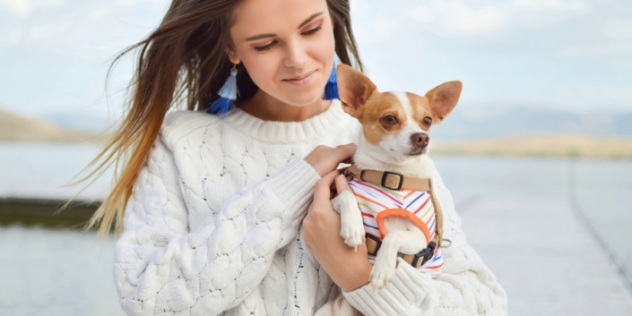 ᐅ Jakie Są Małe Rasy Psów?